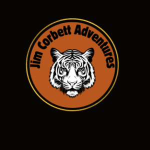 Booking Permits & Stays in Jim Corbett
